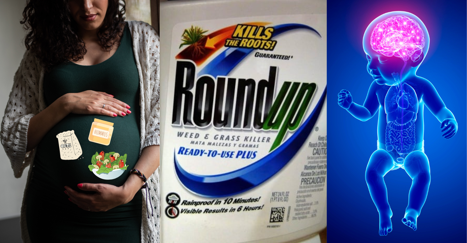 Mother’s Glyphosate Exposure During Pregnancy Increases Child’s Risk of ...