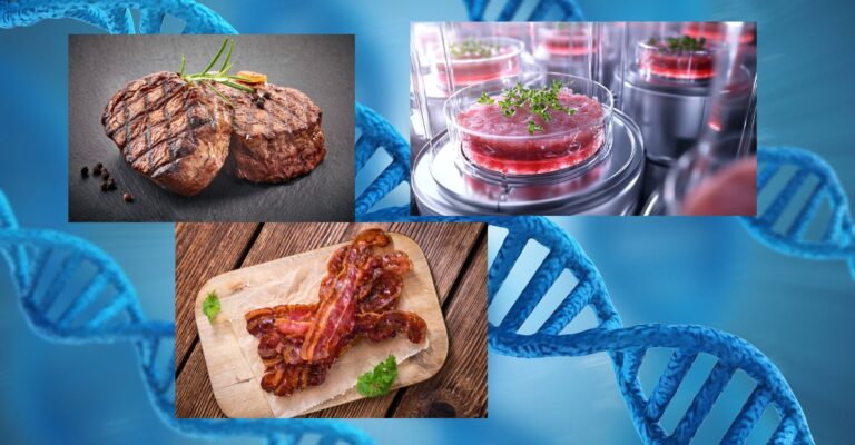 Government of Canada Pauses Deregulation of Food From Cloned Animals ...